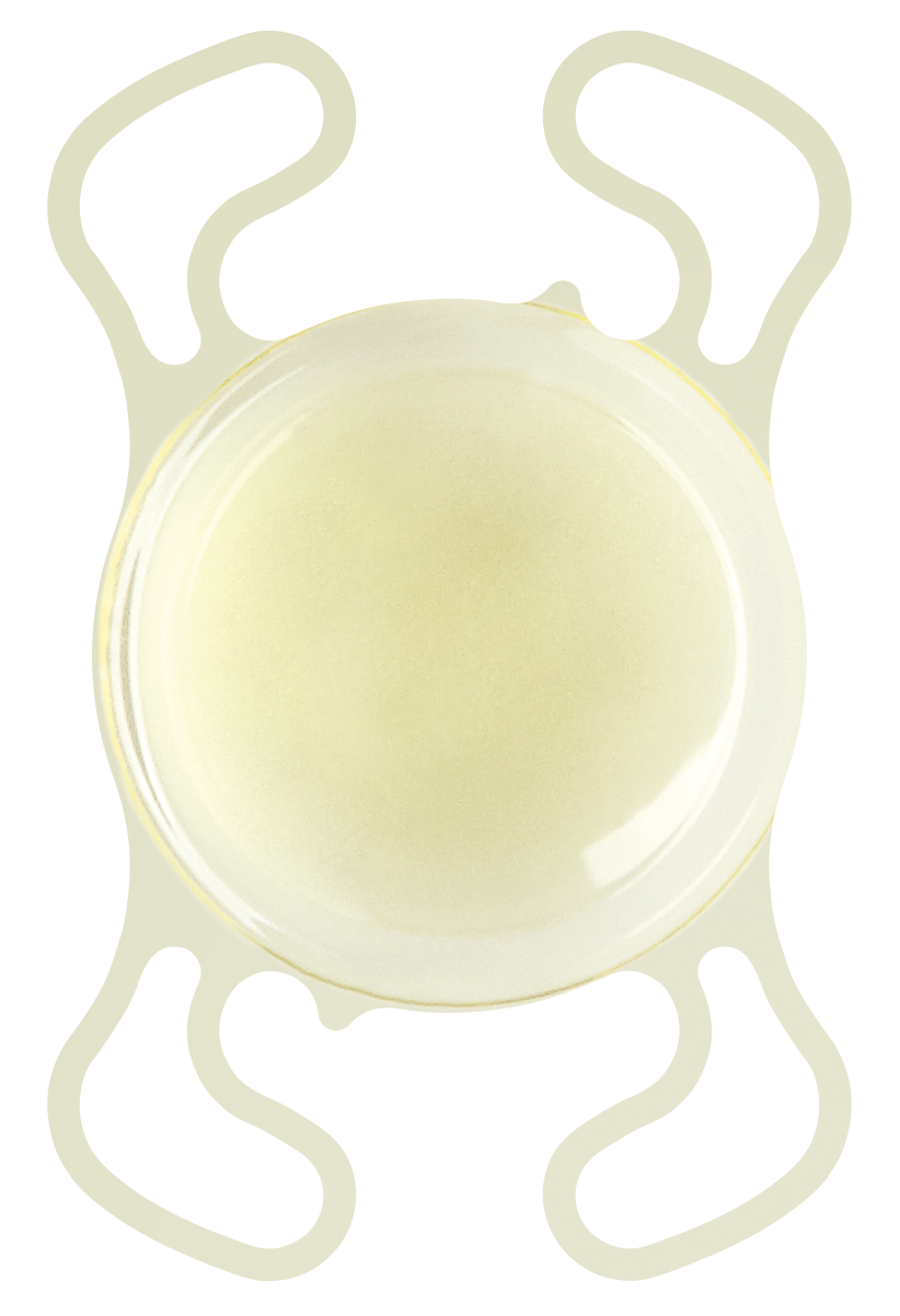 BAUSCH + LOMB anuncia el lanzamiento de su nueva plataforma de lentes ...